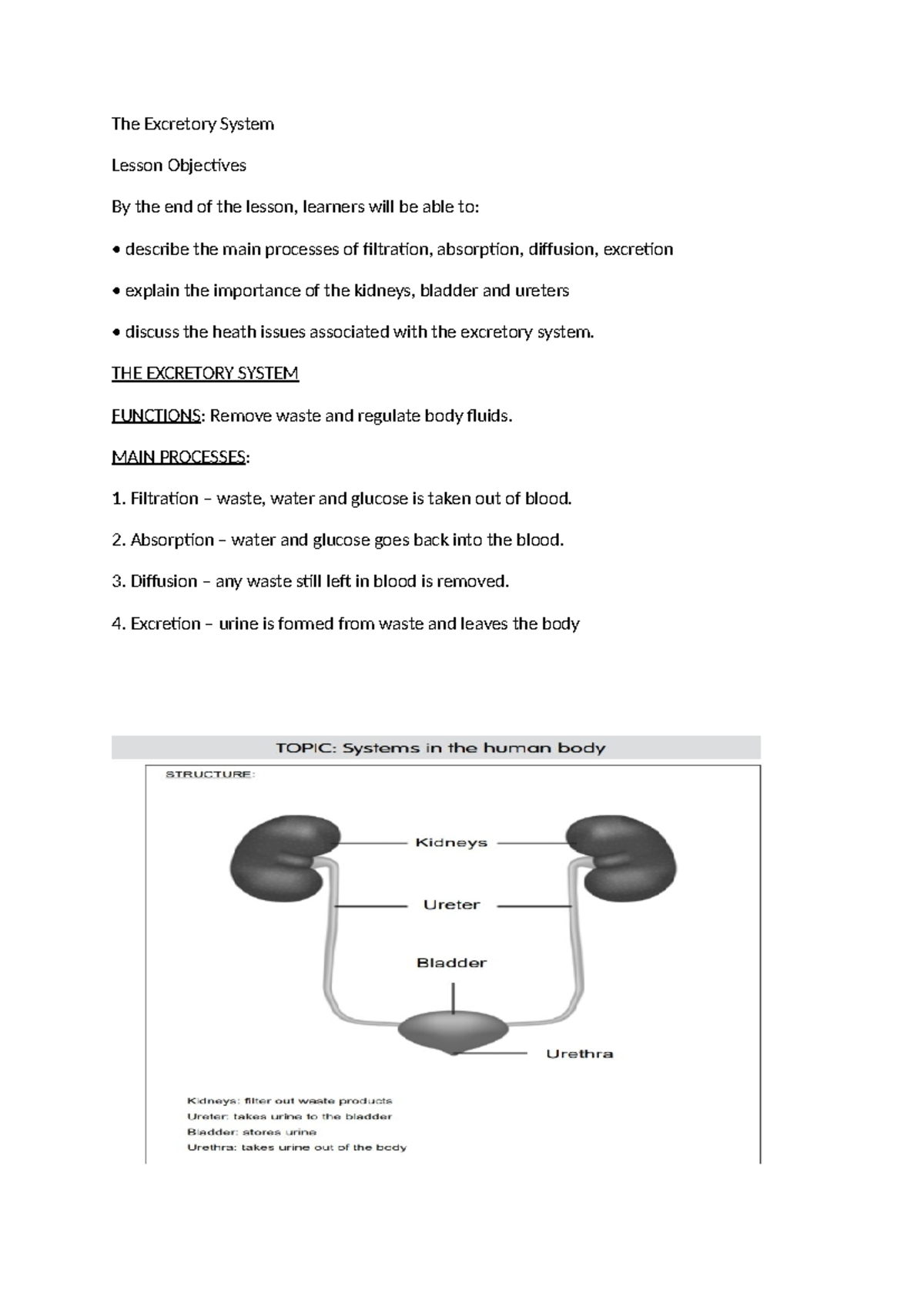 Excretory System: Natural Science Notes on Key Processes & Functions ...