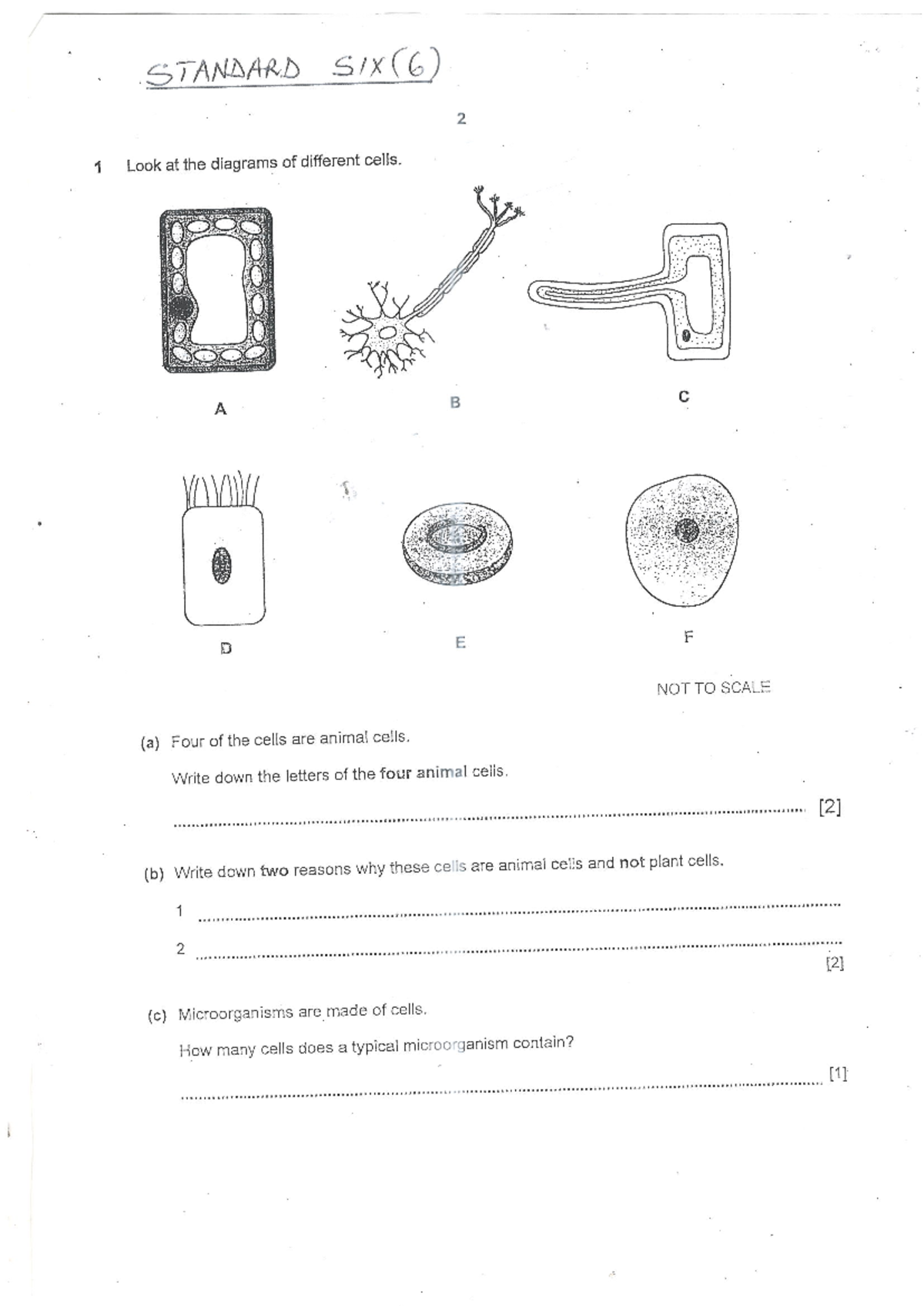 Standard Seven Science: Cell Structures, Forces, and Ecosystems - Studocu