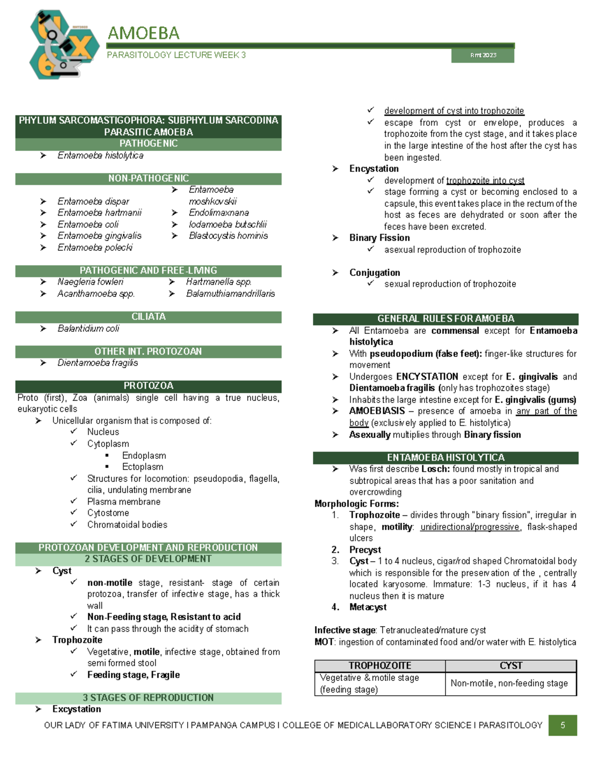 PARA311 Lecture Amoeba - AMOEBA PARASITOLOGY LECTURE WEEK 3 Rmt PHYLUM ...