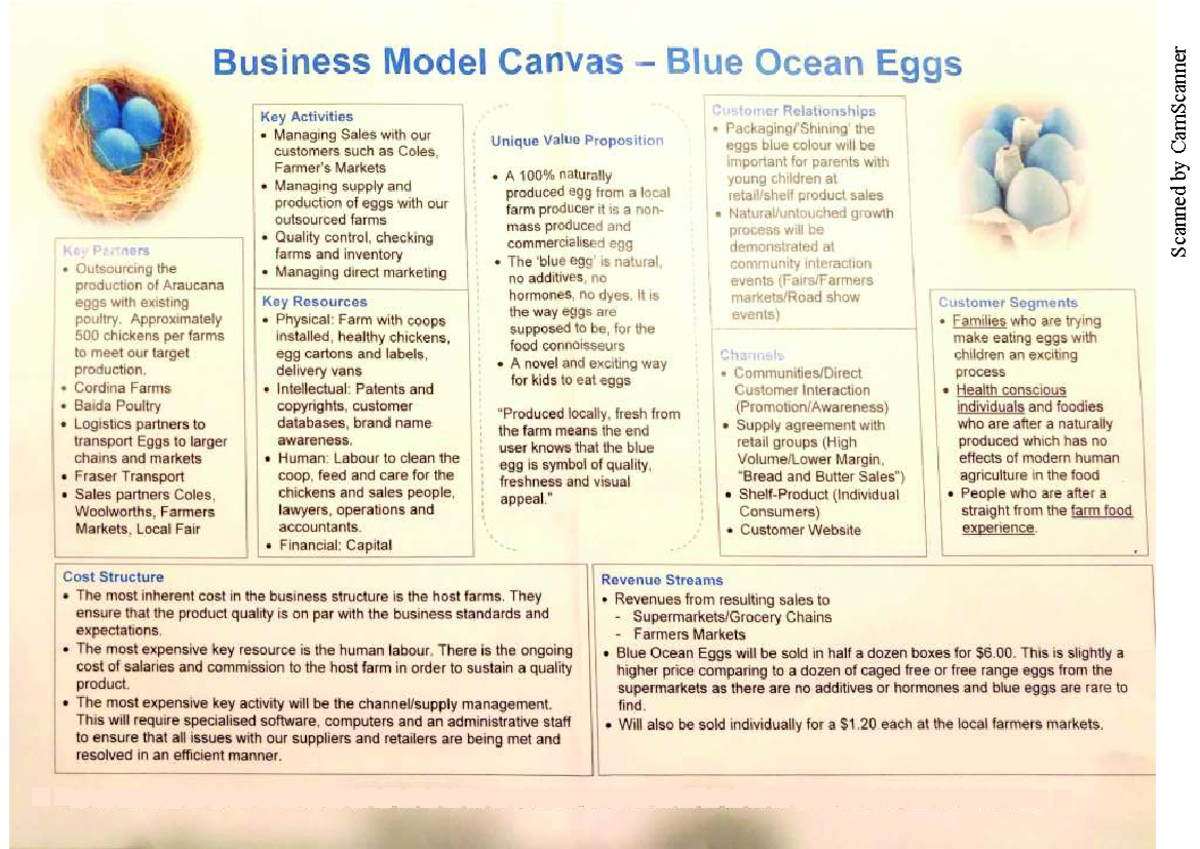Business Model Canvas: Blue Ocean Eggs Activities & Customer ...