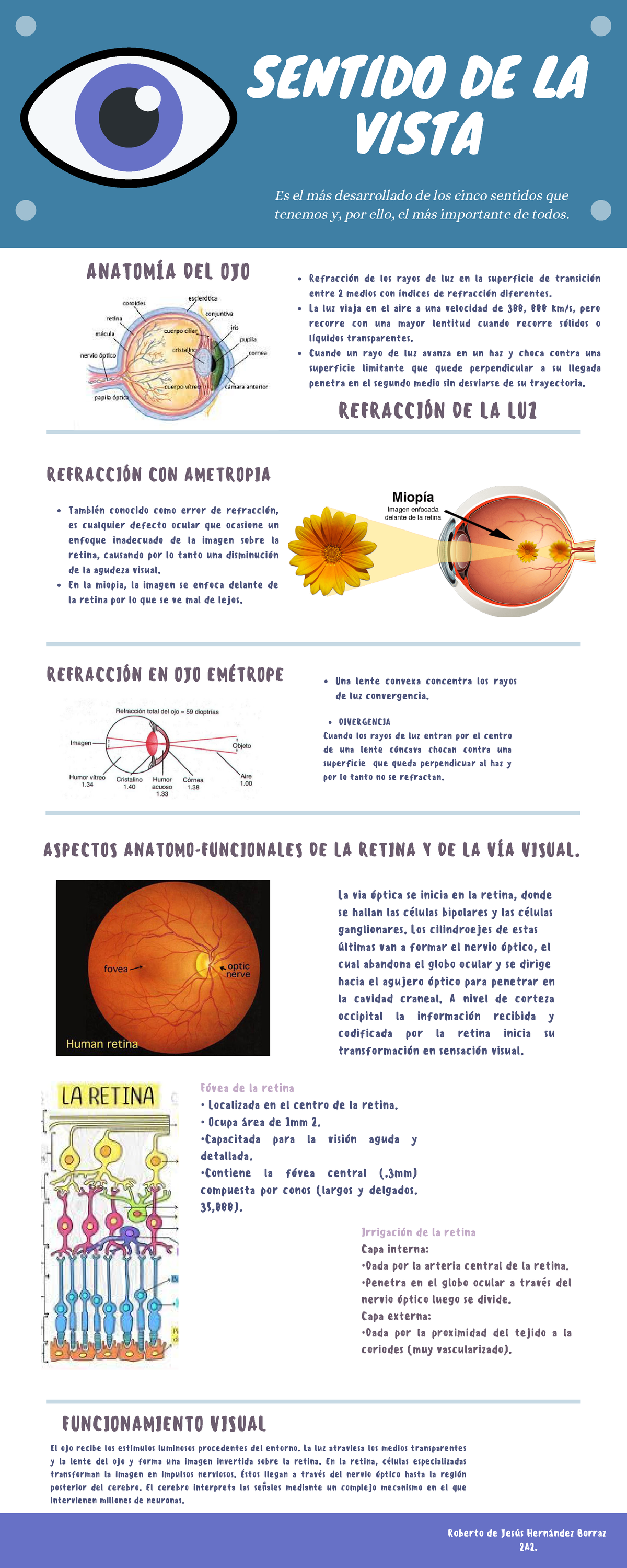 Infografía Sobre el Sentido de la Vista y su Anatomía - Studocu