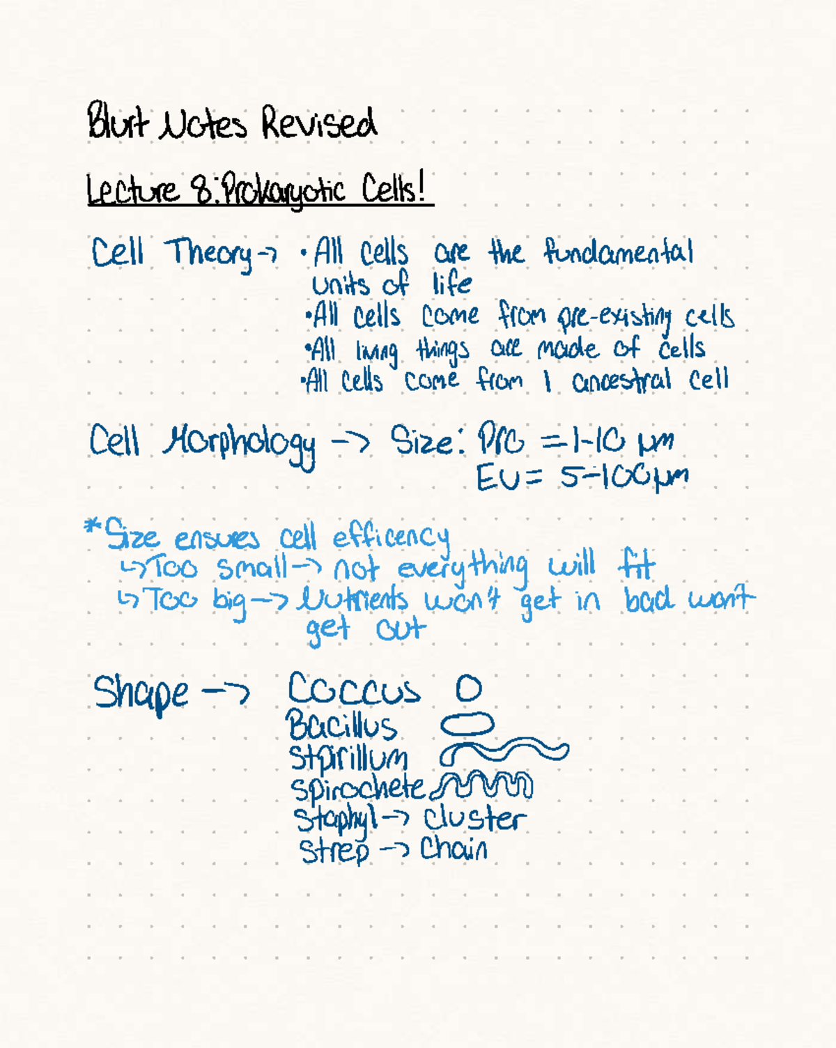 Eukaryotic Cell Structure and Function: Lecture Notes (Bio 101) - Studocu