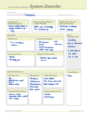 Bladder scan - ATI Template - ACTIVE LEARNING TEMPLATES THERAPEUTIC ...
