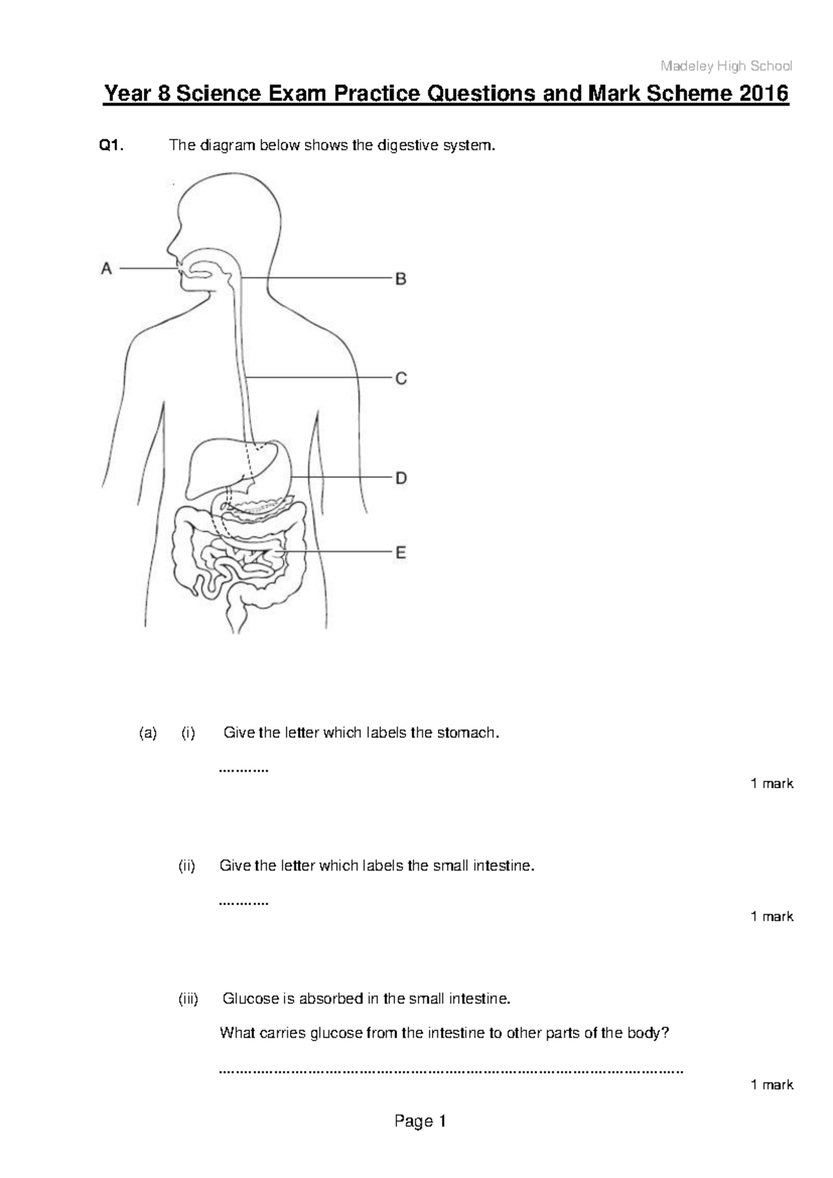 Year 8 Science Exam Practice Questions & Mark Scheme (2016) - Studocu