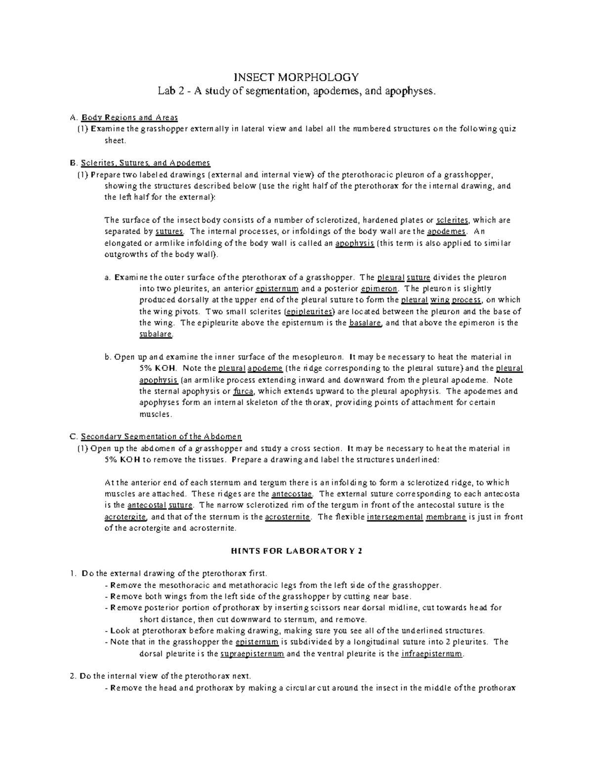 INSECT MORPHOLOGY Lab 2: Segmentation & Structure of Grasshoppers - Studocu