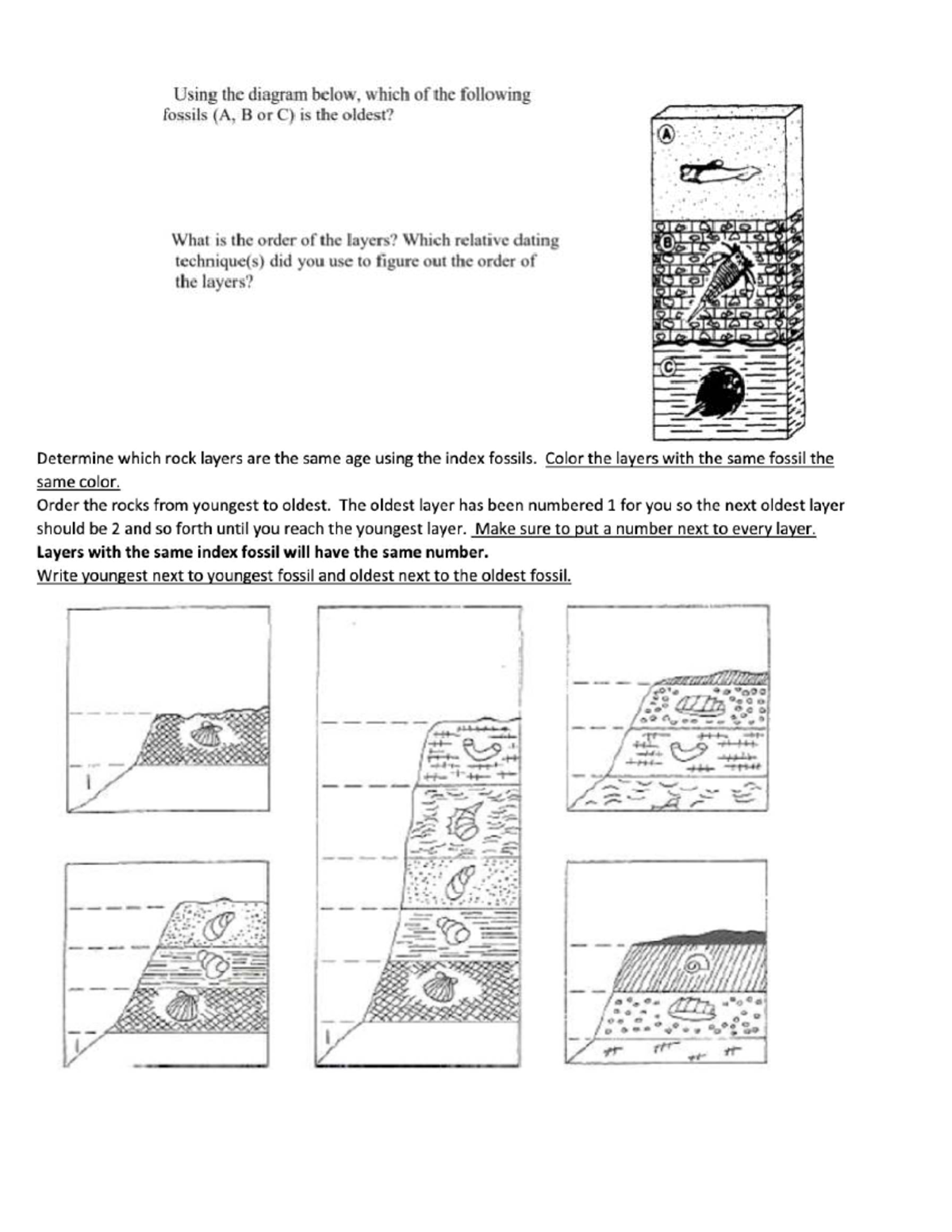 Relative Dating with Steno's Laws: Fossil Analysis and Layer Order ...