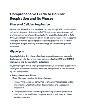 Cellular Respiration - Study Notes & Assignments - Studocu