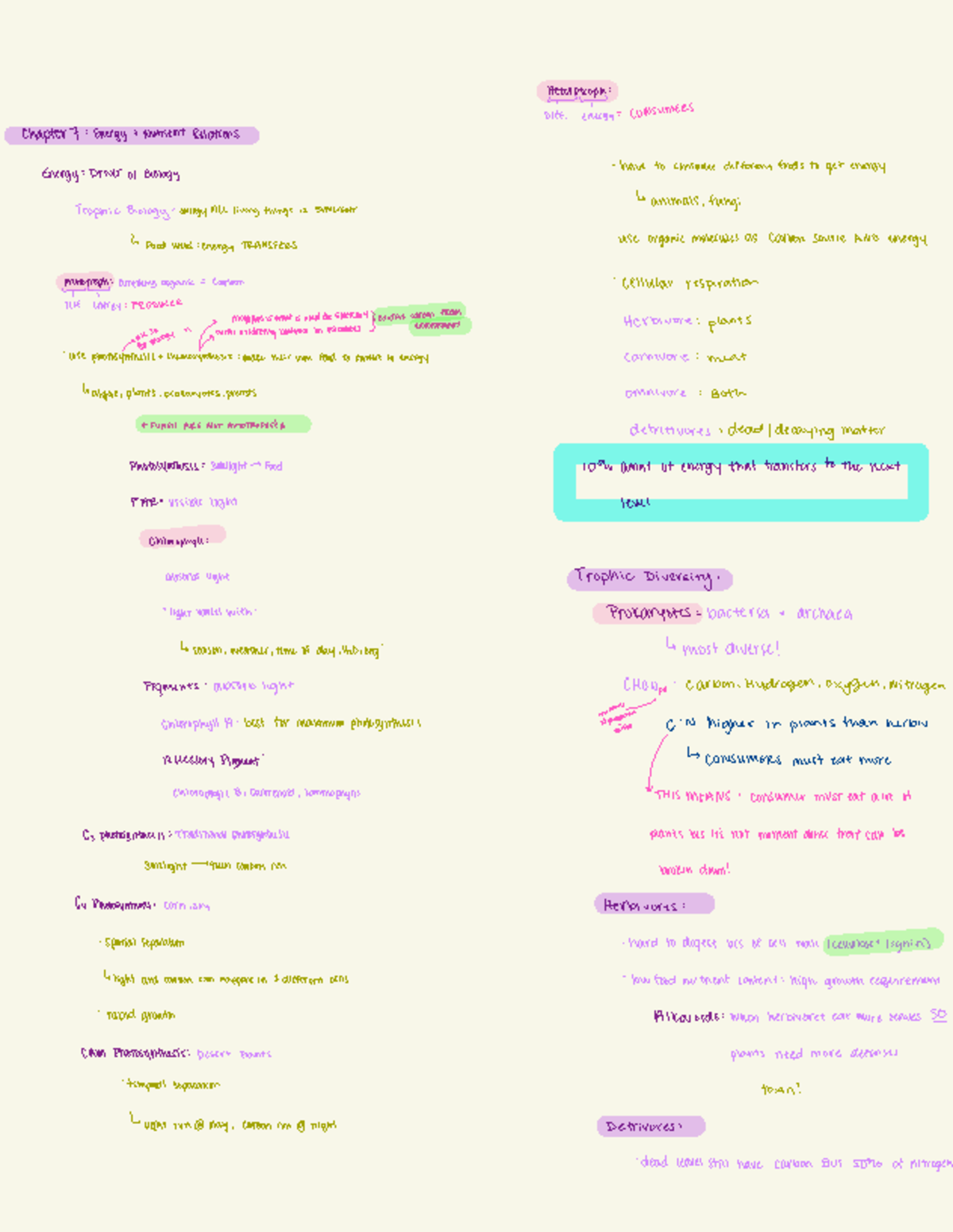 Chapter 7 & 8: Energy & Nutrient Relations in Trophic Biology - Studocu