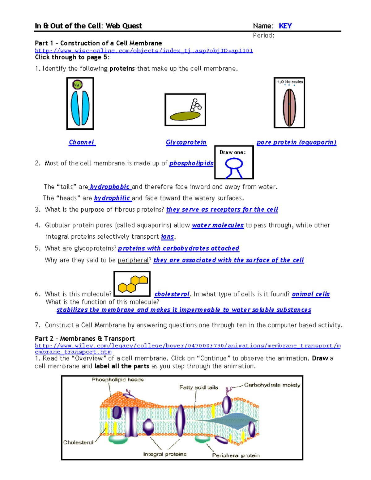 In & out of cells webquest key - In & Out of the Cell: Web Quest Name ...