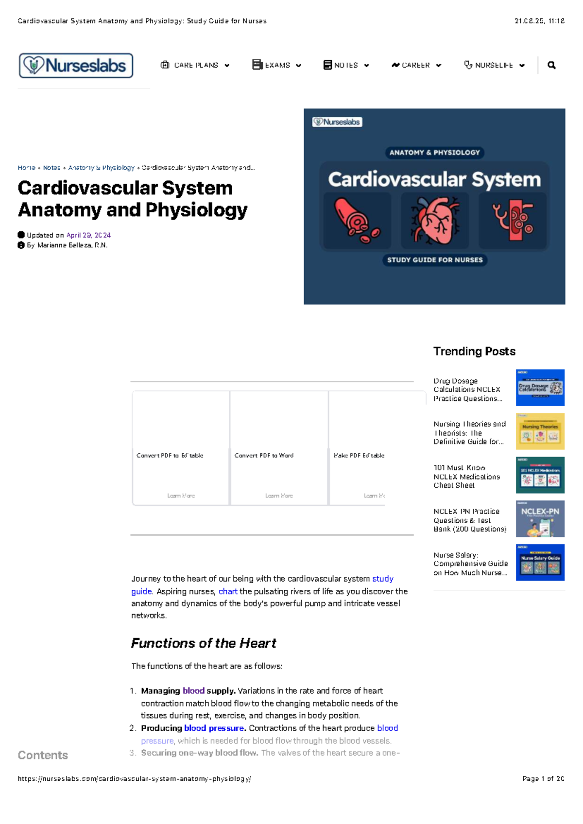 Cardiovascular System Anatomy & Physiology Study Guide for Nurses (CARE ...