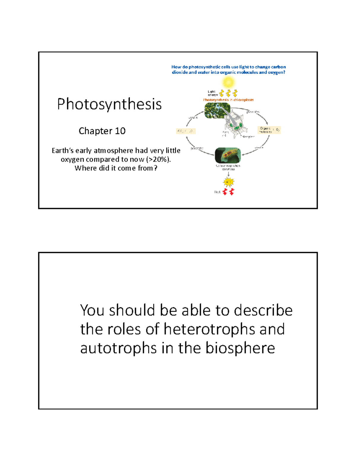 Photosynthesis Overview: Light Reactions & Calvin Cycle (BIO 101) - Studocu