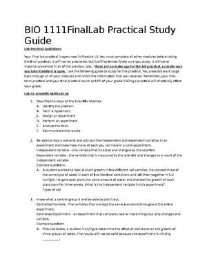 How Can Diffusion Be Observed Lab Handout - Diffusion & Osmosis Lab ...