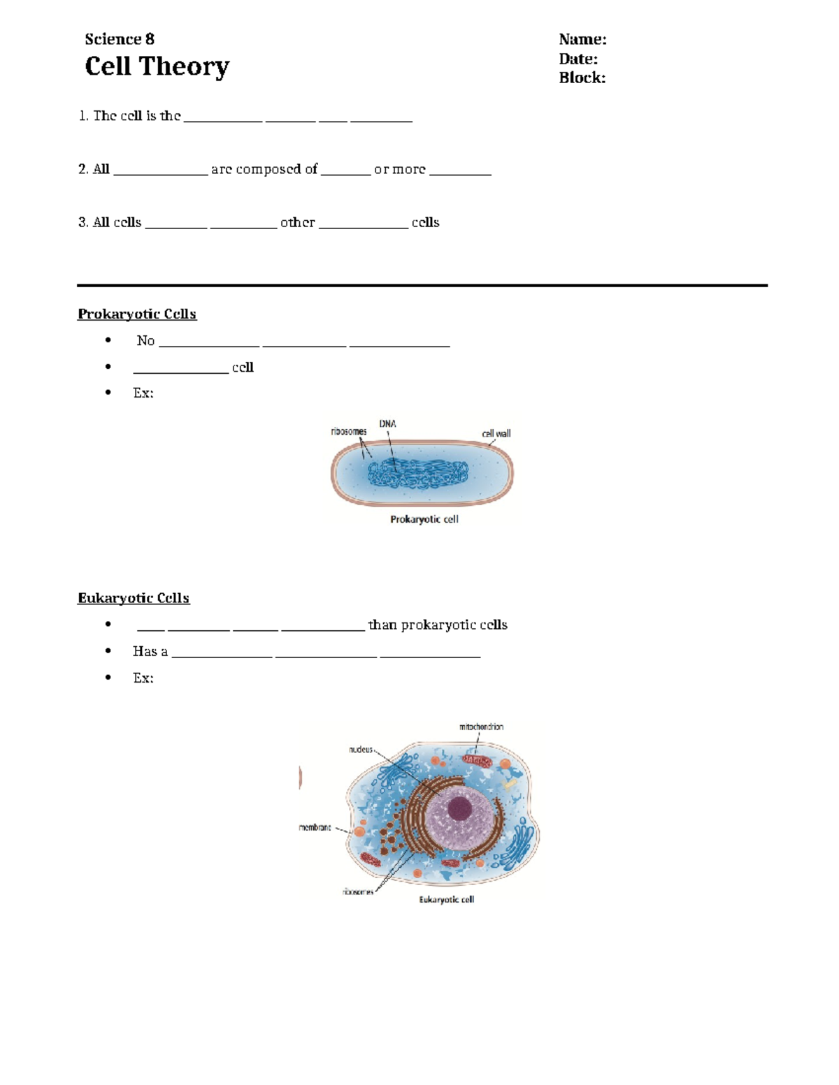 13 celltheory with worksheet skeleton - Science 8 Cell Theory Name ...