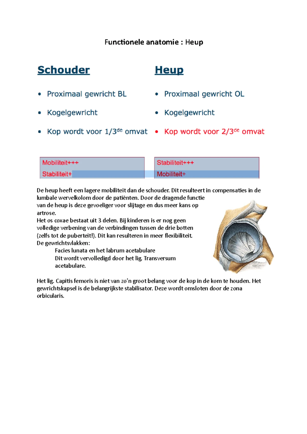 Facien van de bovenarm en membrana interossea van voorarm - FACIEN van ...