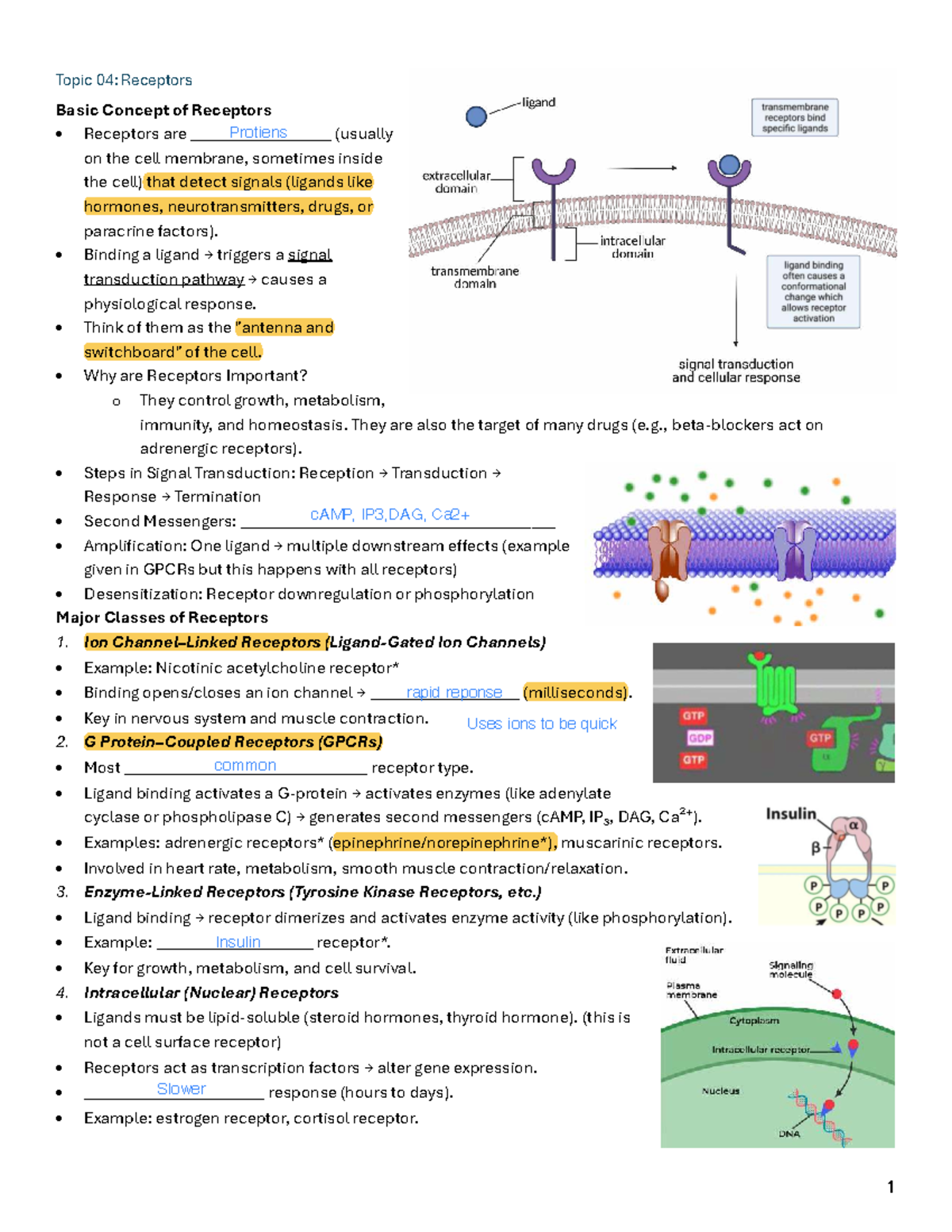 Receptors: Types, Mechanisms, and Physiological Relevance (Topic 04 ...