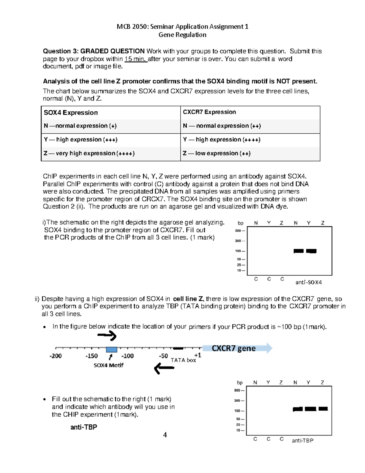 Gene regulation - Tutorial assessment 1, 100% - MCB 2050 : Seminar ...