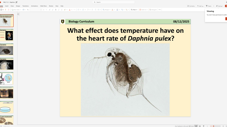 PAG 11.2 - Daphnia - dgsdg - PAG 11 - Daphnia Search BS What effect ...