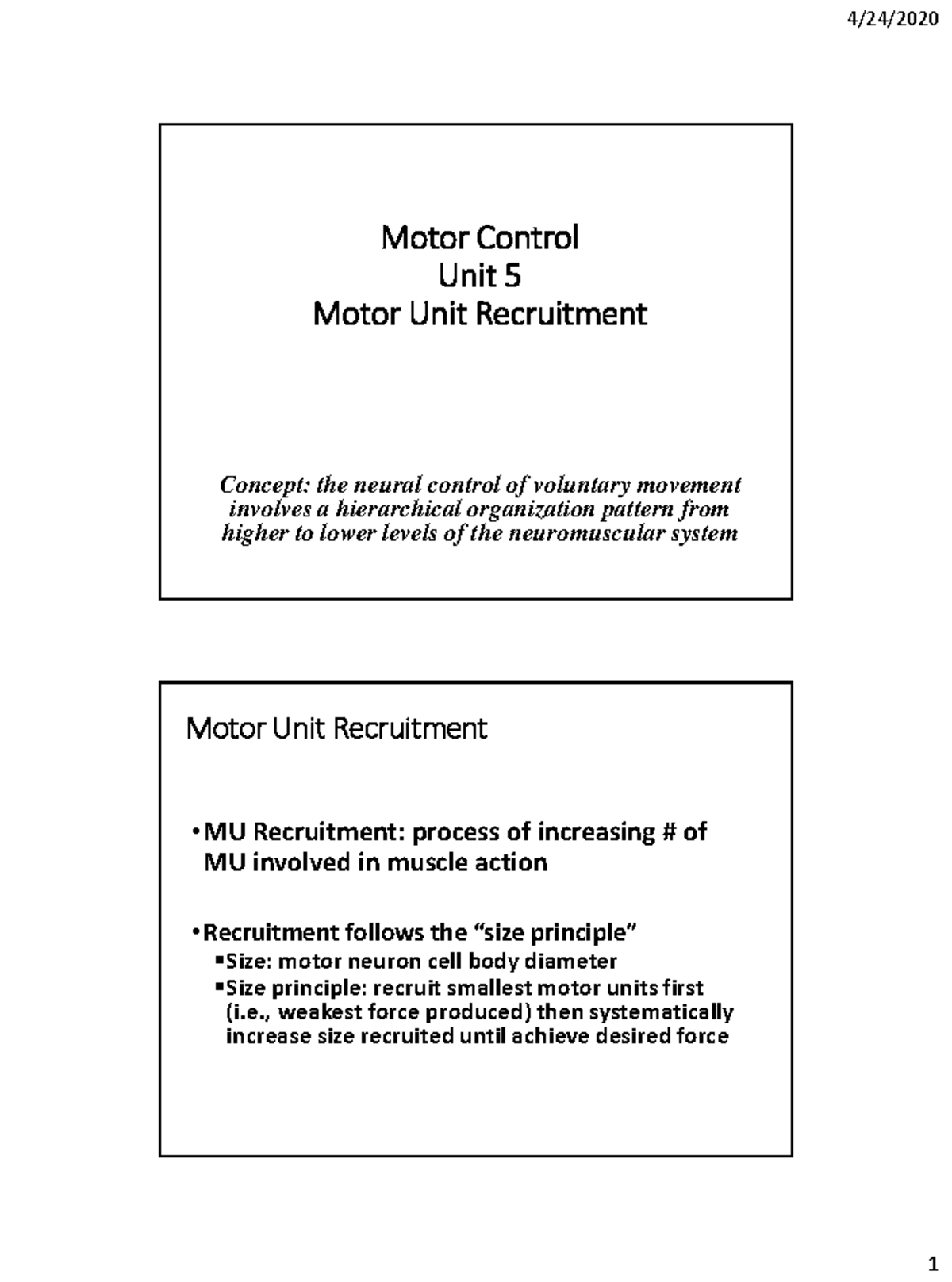Muscle Control and Recruitment: Insights on Motor Unit Strategies (KINE ...