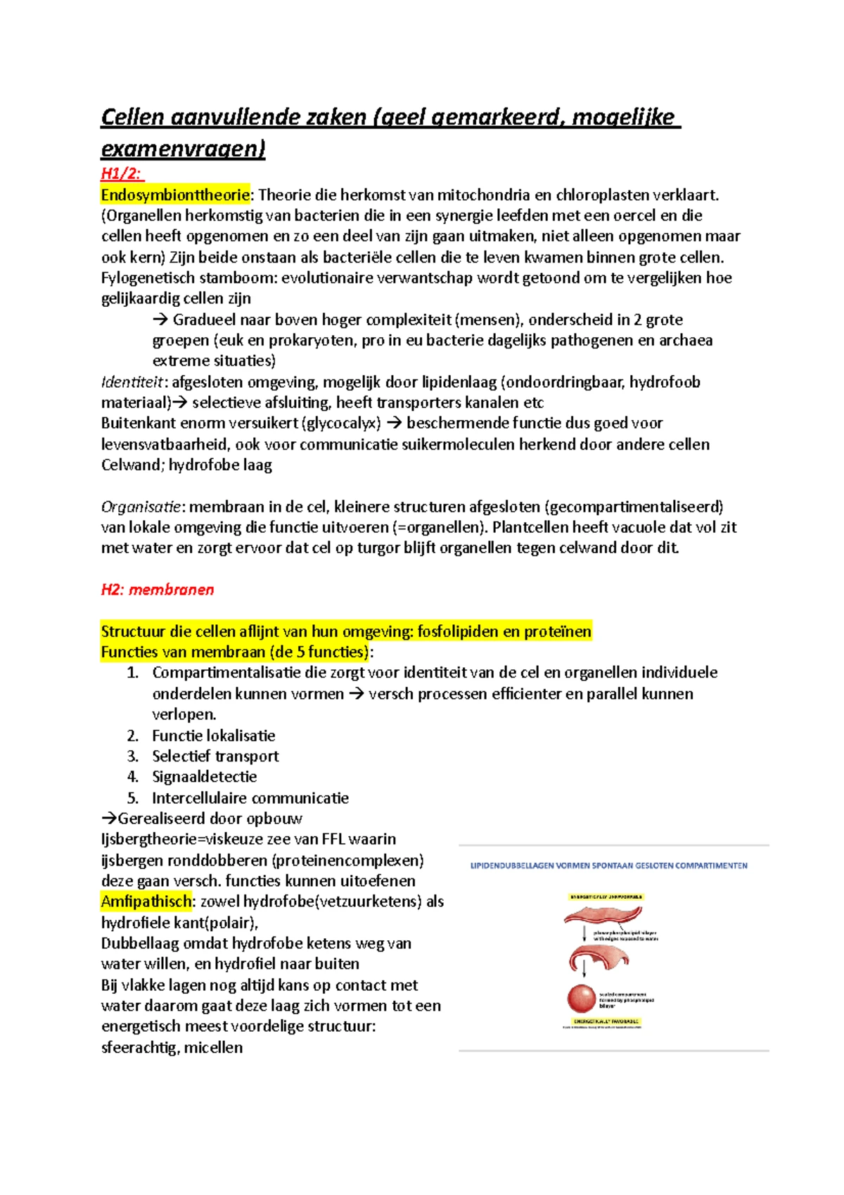 Hormonale Regeling van de Bloedsuikerspiegel en Reflexboog Uitleg - Studocu