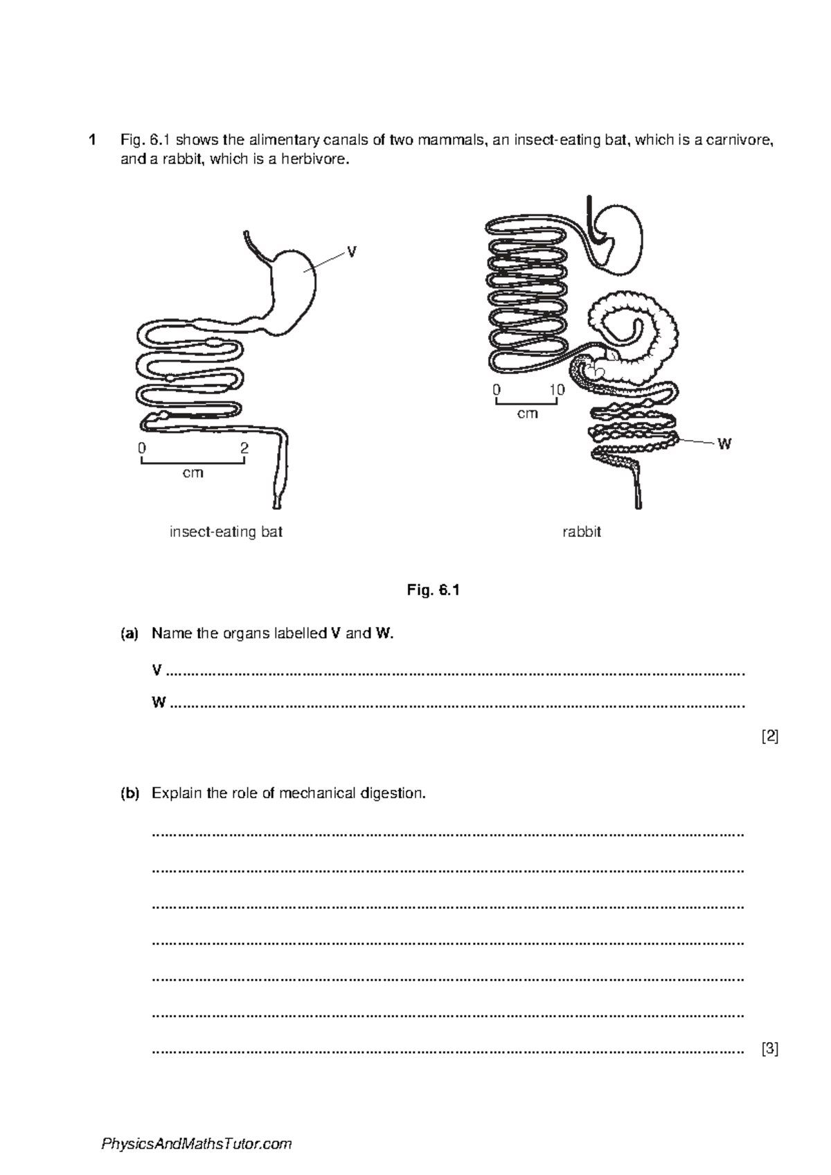 Human Nutrition 1 QP 2 - Digestive System Exercises and Diagrams - Studocu
