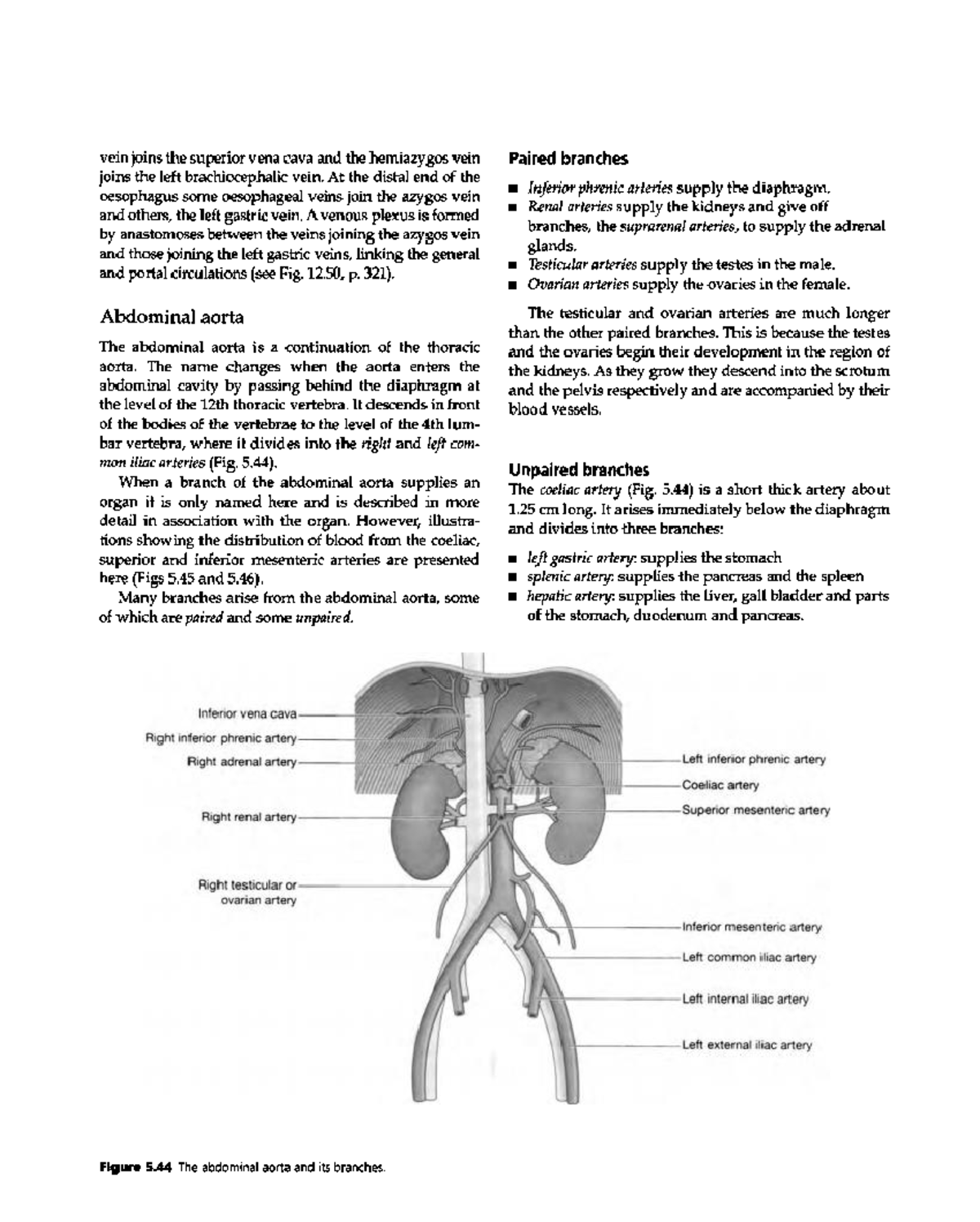 Anatomy NURS Biology - Health BODY (2) 14 - Communication vein joins ...