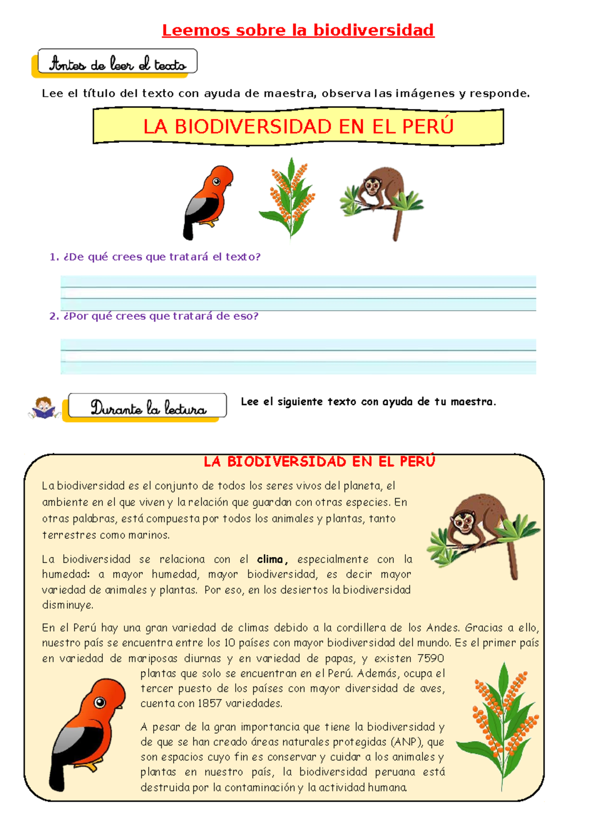 Leemos Sobre la Biodiversidad en el Perú - Ficha D1 COM - Studocu