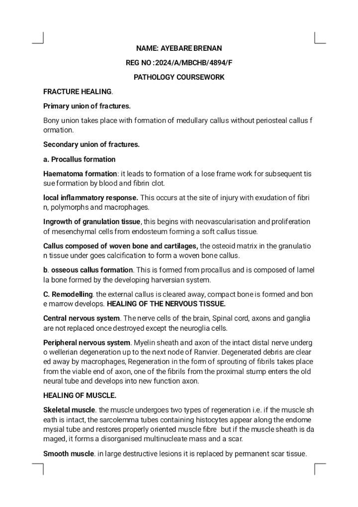 PATH 101 Coursework: Fracture Healing and Tissue Regeneration - Studocu