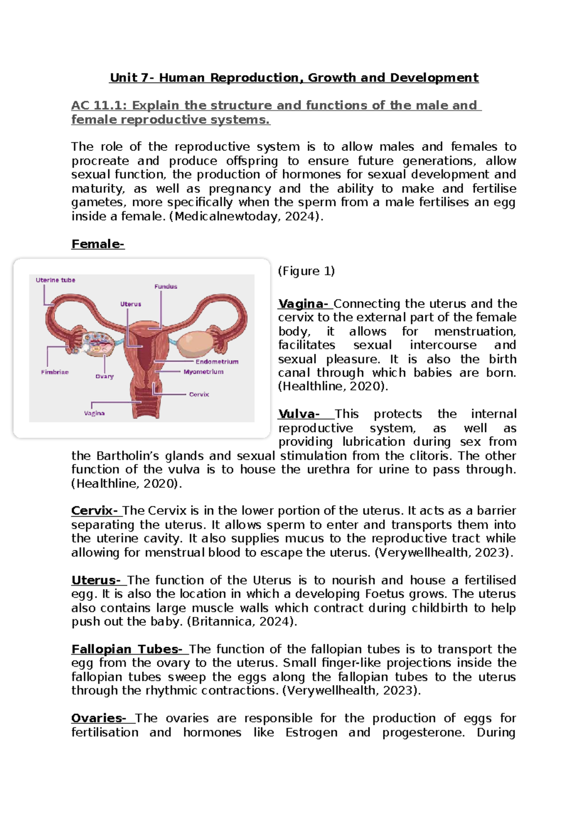 Unit 7 Assignment: Human Reproduction, Growth & Development Overview ...