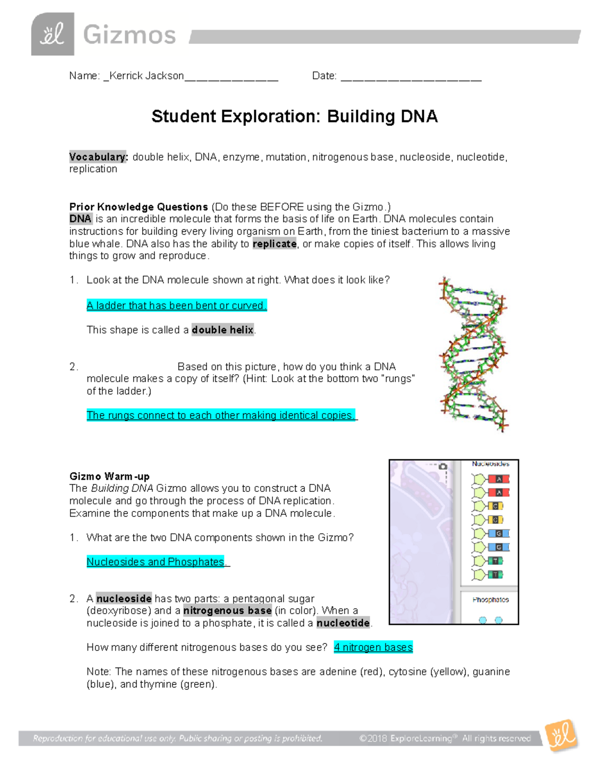 Building DNA Gizmo Exploration Lab - btrhbrhbt - Studocu