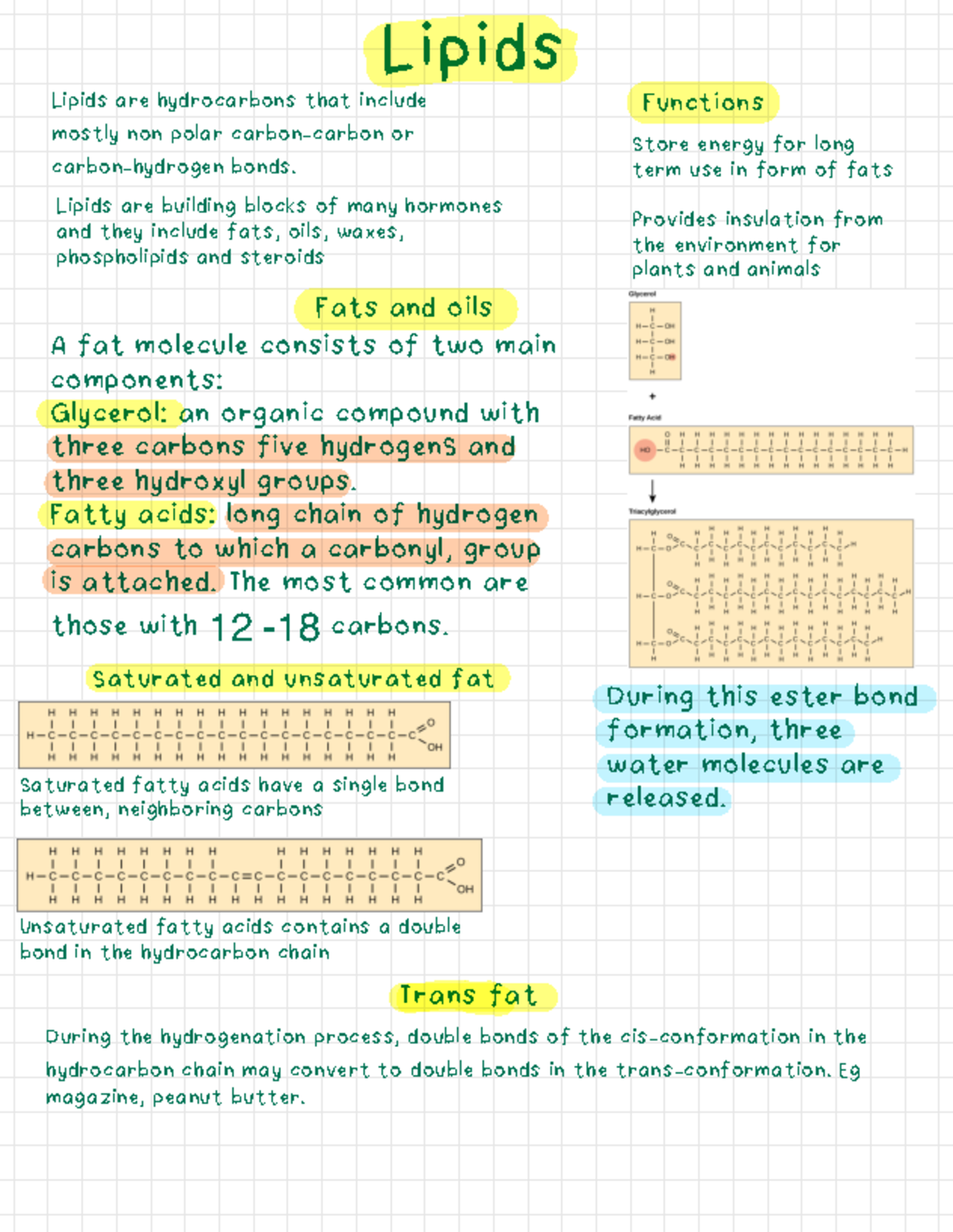 Lipids - Pre class/notes from textbook - Lipids Lipids are hydrocarbons ...