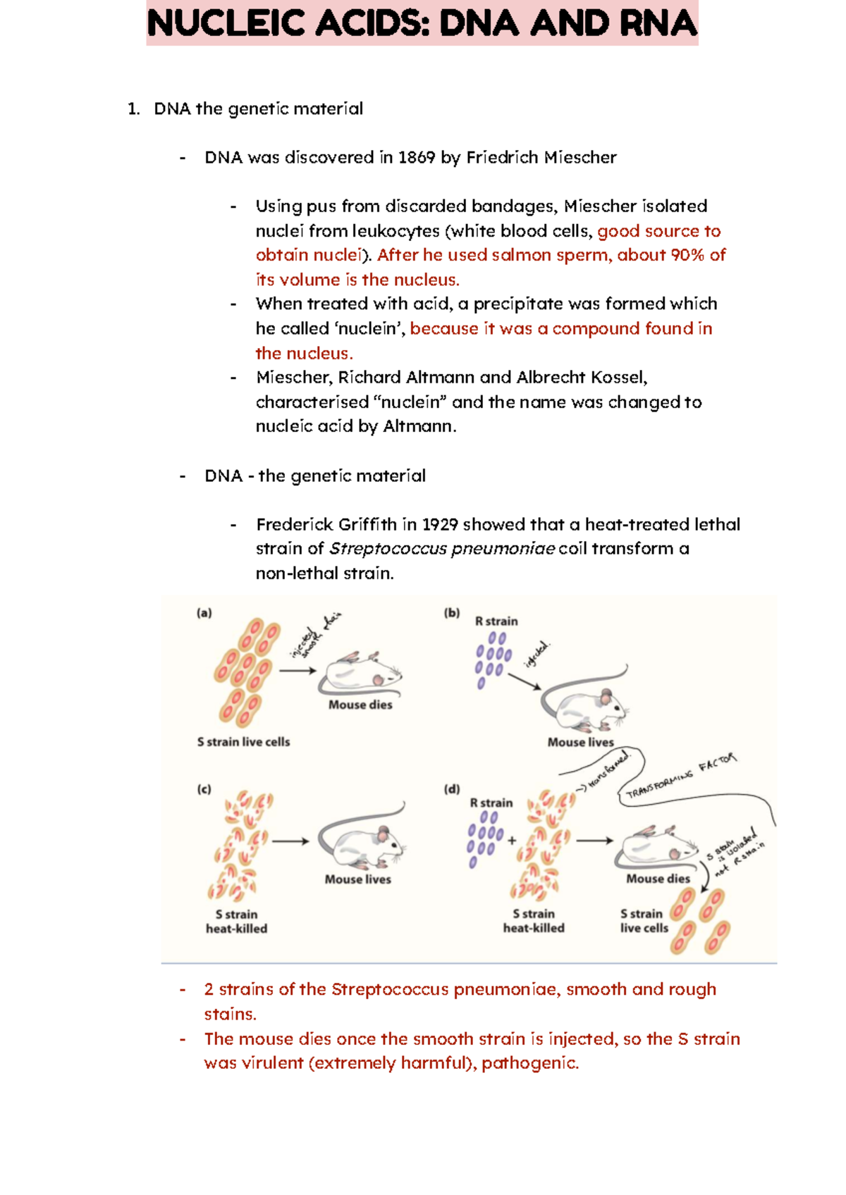 NUCLEIC ACIDS: DNA AND RNA - Structure, Functions, and Epigenetics ...
