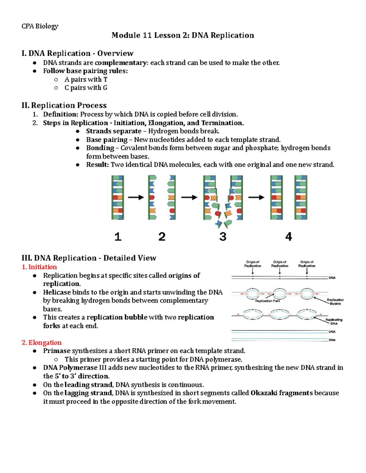 Module 11 Lesson 2 Notes - CPA Biology Module 11 Lesson 2: DNA ...