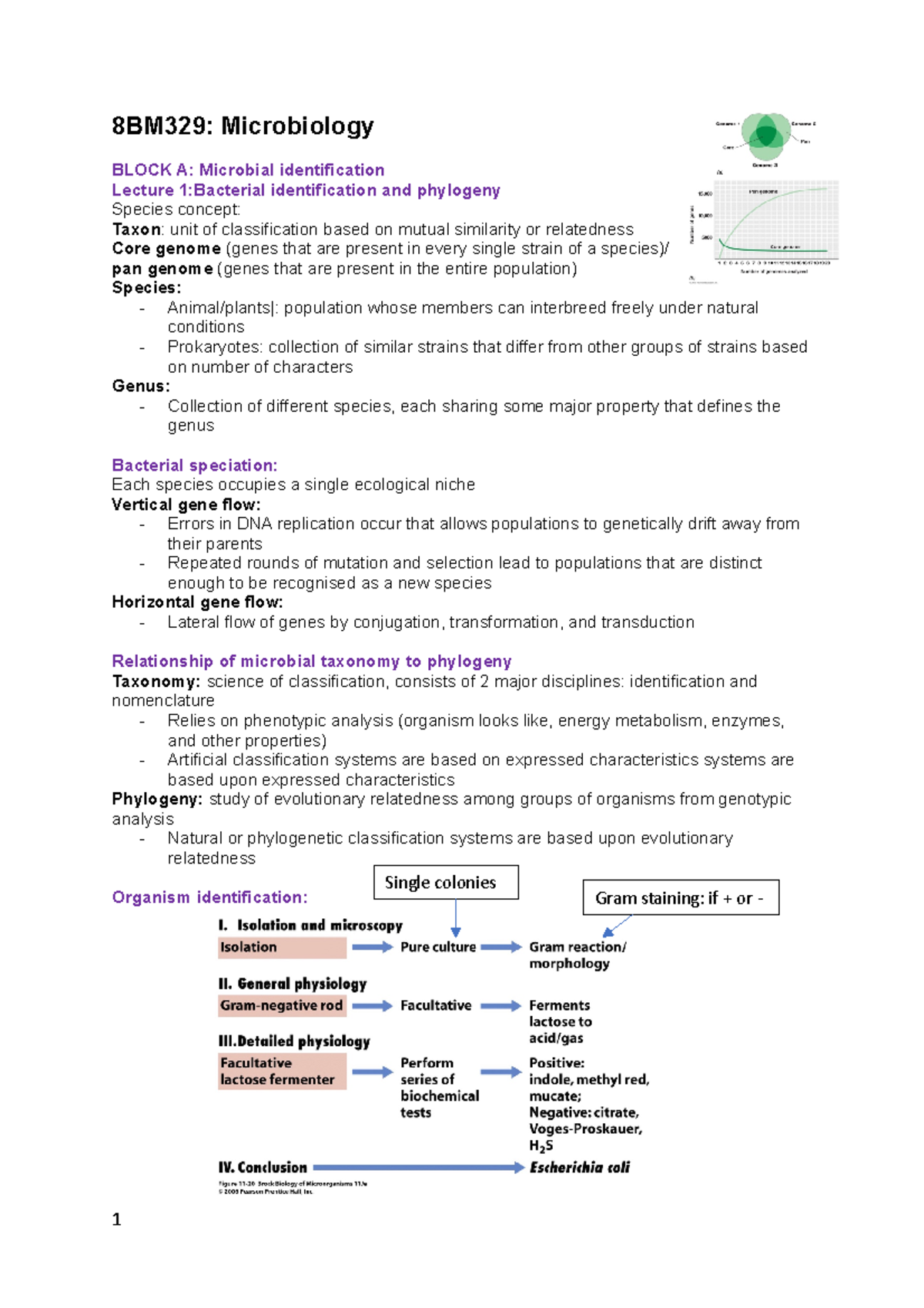 Notes - 8BM329: Microbiology BLOCK A: Microbial identification Lecture ...