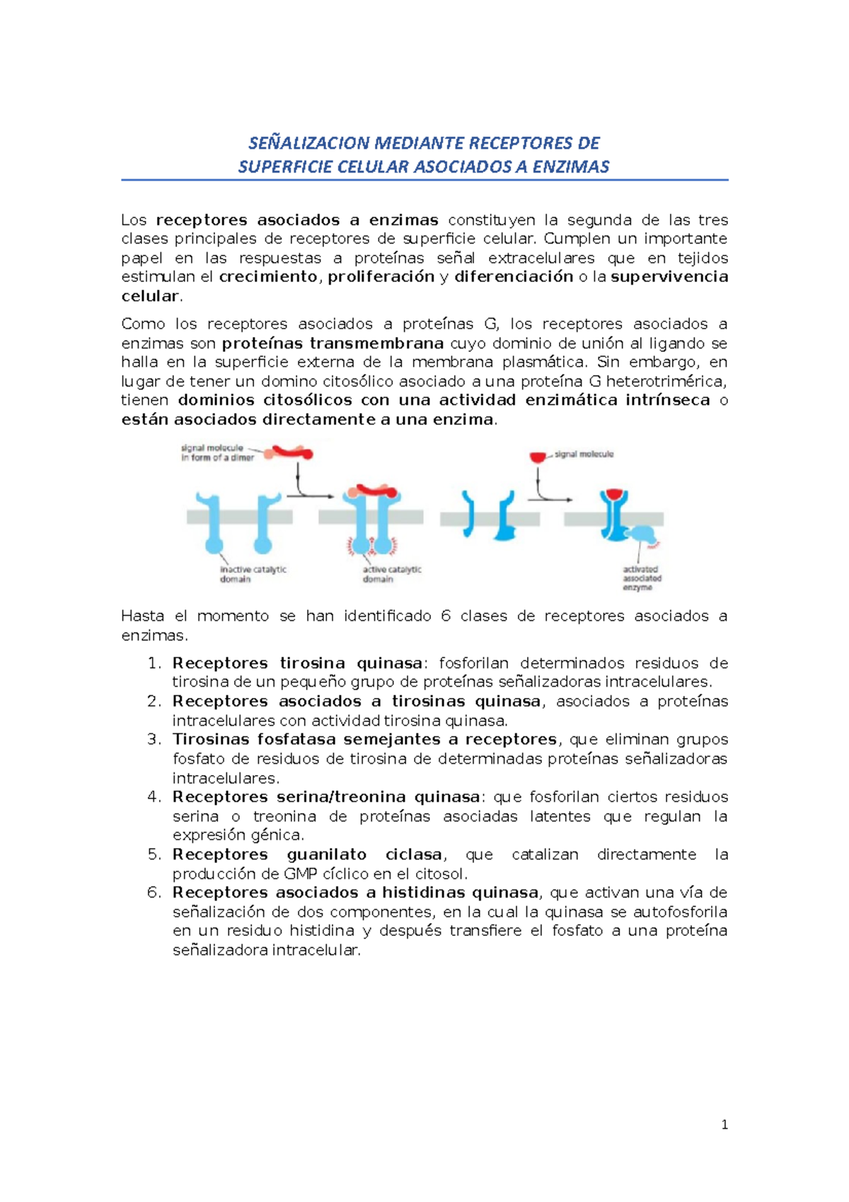6. RTKs. Receptores con actividad quinasa intrínseca - SEÑALIZACION ...