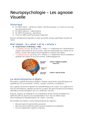Exemple de compte rendu de Bilan Neuropsychologique - Compte-rendu d ...