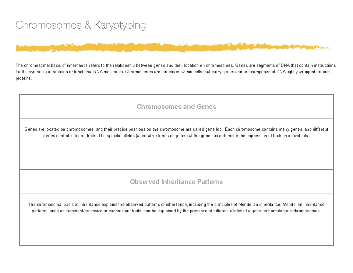 Chromosomes & Karyotyping: Inheritance Patterns Study Guide (007) - Studocu