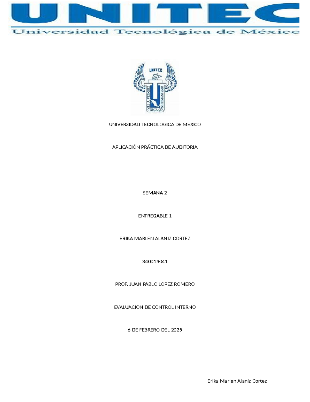 Alanize E1 Aplicacionpracticadeauditoria - UNIVERSIDAD TECNOLOGICA DE MEXICO APLICACIÓN PRÁCTICA ...