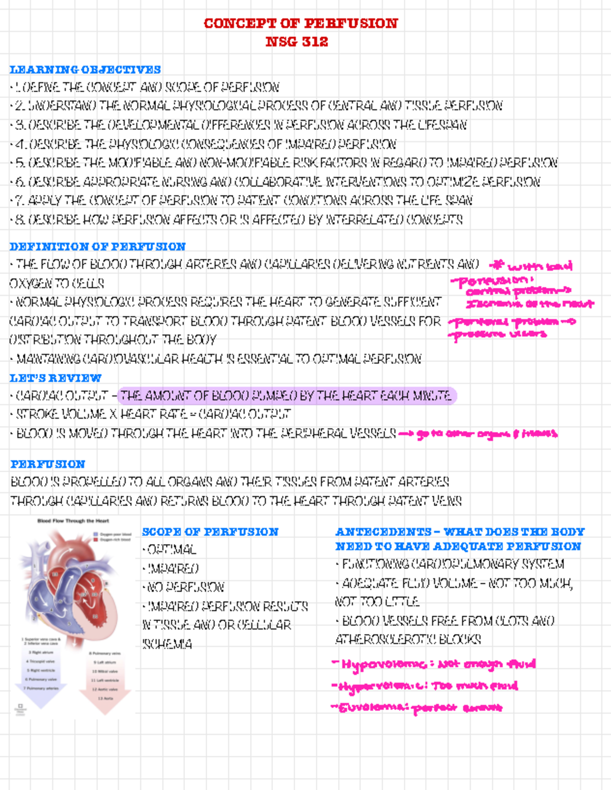 Perfusion concept overview fall 2023 cva - CONCEPT OF PERFUSION NSG 312 ...