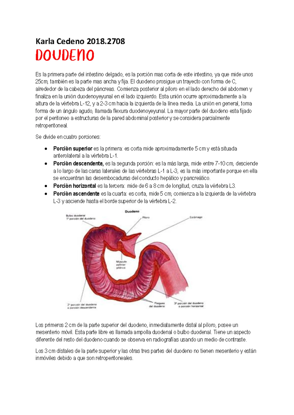 Cordon Espermatico - Moore. Fundamentos de Anatomía Con Orientación ...