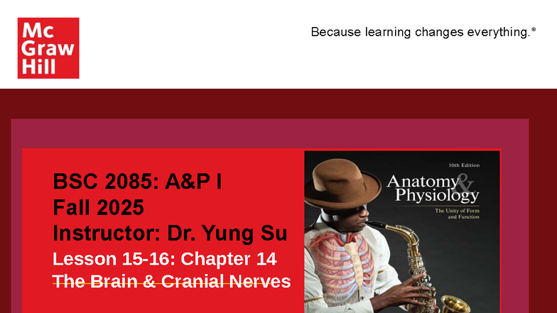 BSC 2085: A&P I - Lesson 15-16 Overview of The Brain & Cranial Nerves ...