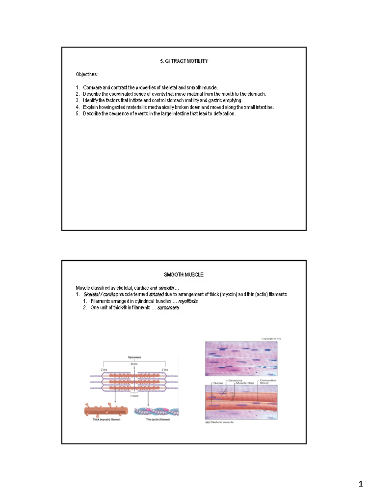 GI Tract Motility: Smooth Muscle Functions and Mechanisms - Studocu