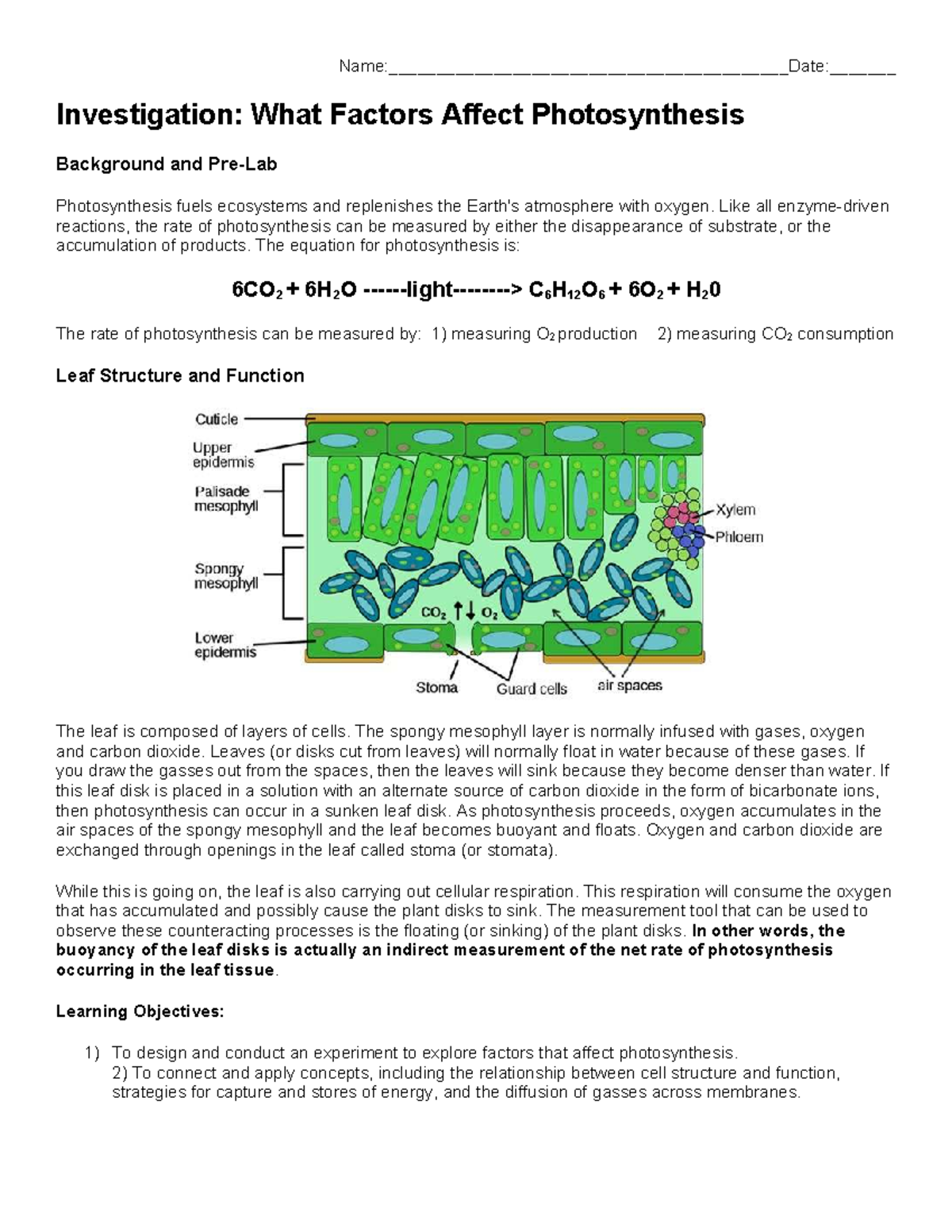Investigation: Factors Affecting Photosynthesis in Leaf Discs - Studocu