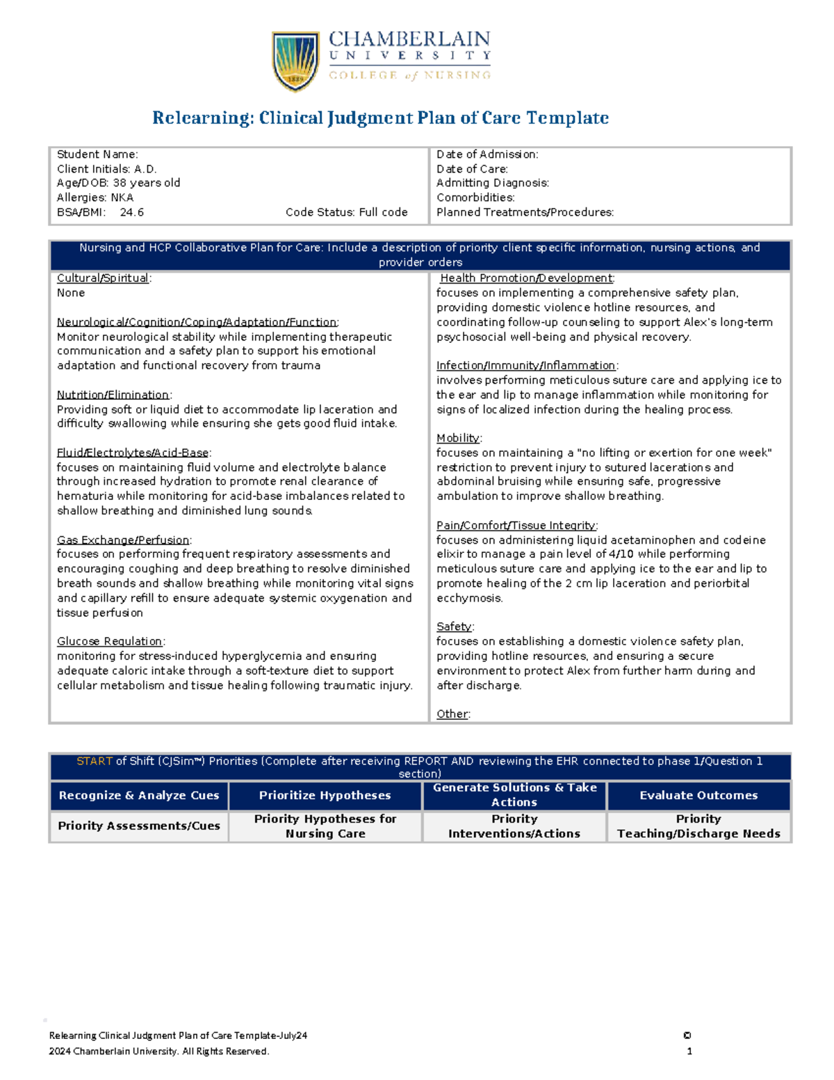 Relearning Clinical Judgment Plan of Care Template - AD 2024 - Studocu