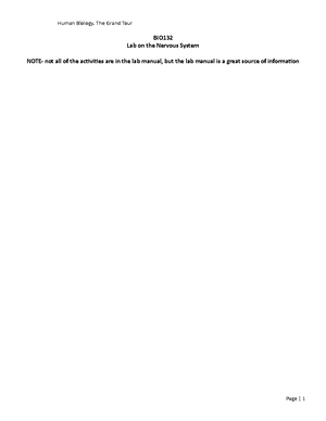 Human Biology Fetal Development Lab - Studocu