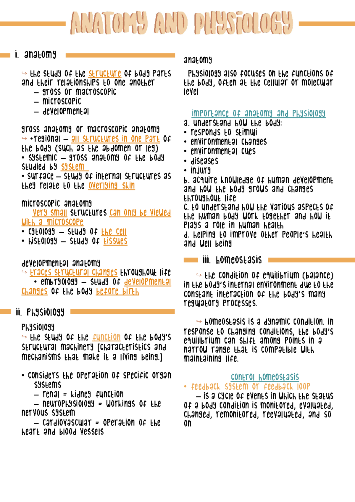 Anatomy and Physiology: Key Concepts and Homeostasis Overview - Studocu