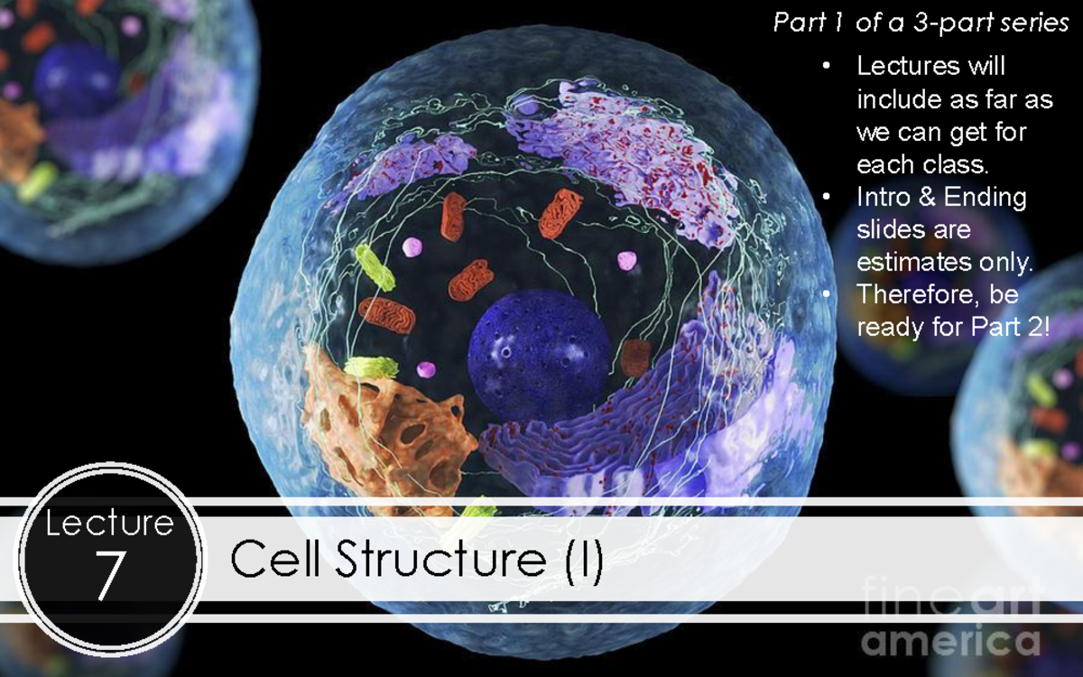 LIFE103 Lecture 7: Cell Structure and Function Overview - Studocu