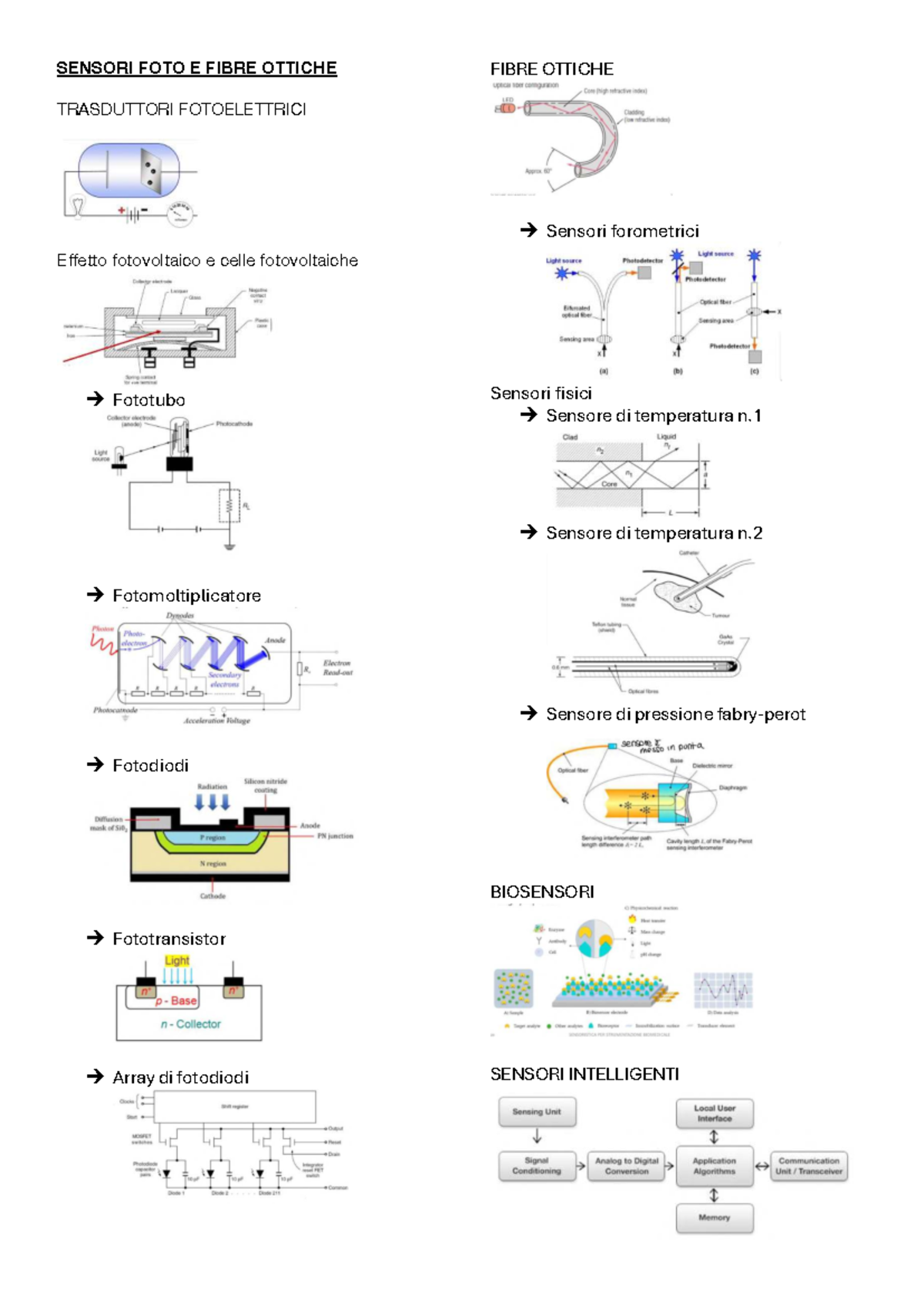 SENSORISTICA: Schema Sensori per Esame Orale (Corso) - Studocu