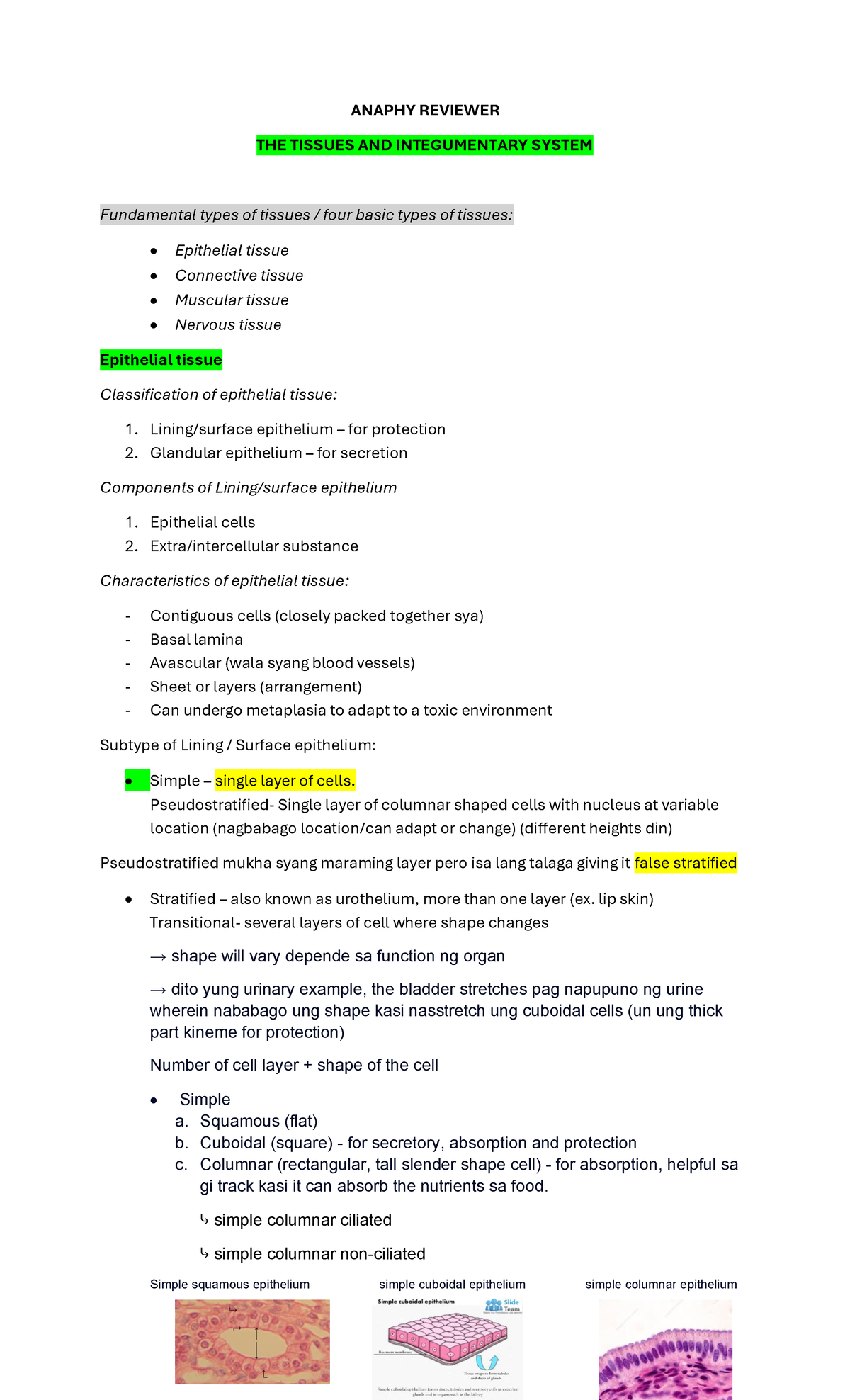 ANAPHY REVIEWER: Tissues & Integumentary System Overview - Studocu