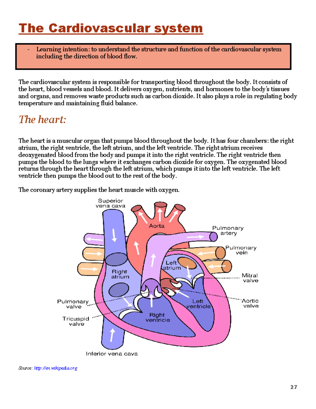 P.E. 1:2 - Cardiovascular & Respiratory System Overview - Studocu