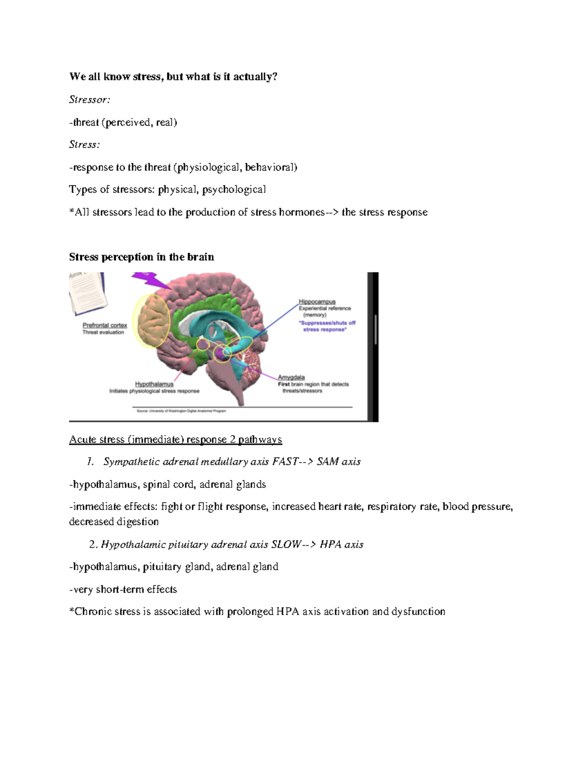Food psychology unit 8 notes: Understanding stress and eating behaviors ...